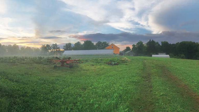 The Ministry of Quaker Farmers - Friends Journal