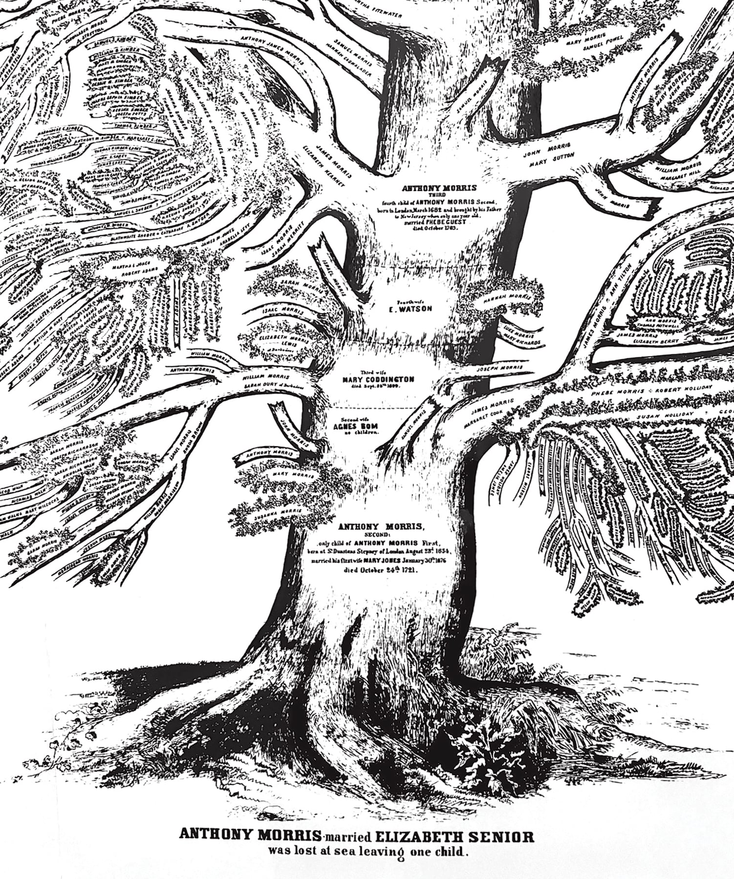 Our Quaker Ancestors Owned Slaves - The Morris Family of Philadelphia