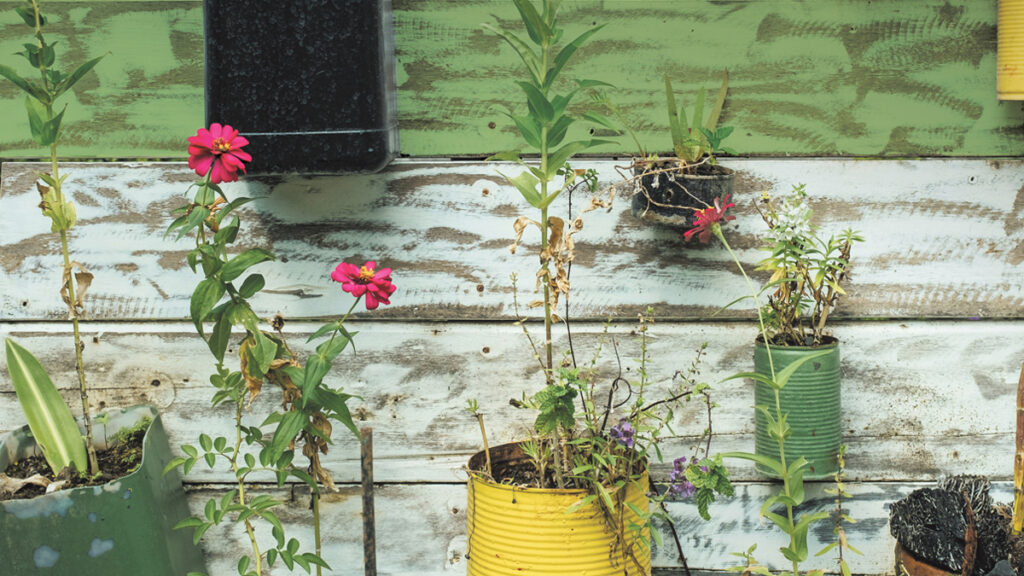 Illuminating a Quaker Way of Stewardship - Friends Journal