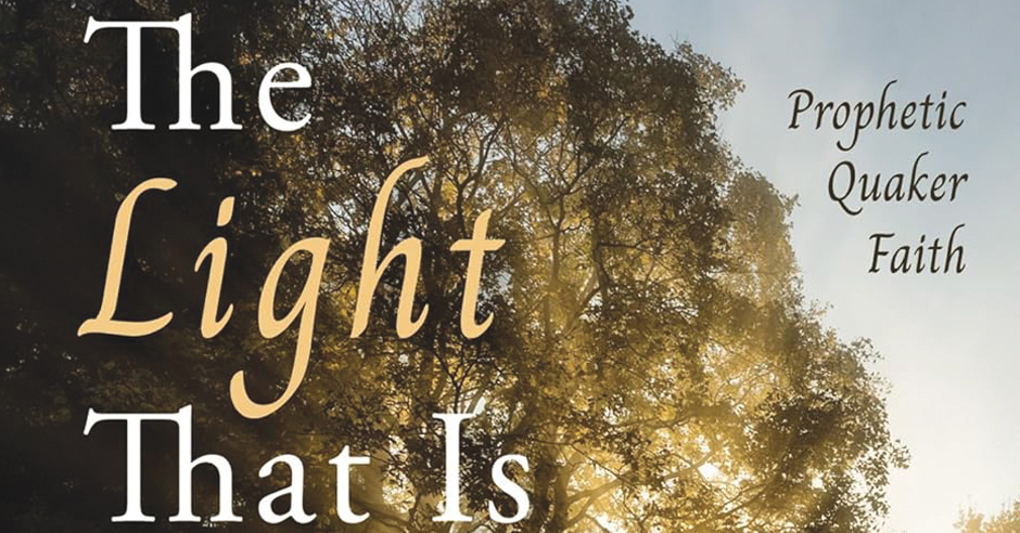 The Light That Is Given by Patricia Dallmann - A Book Review